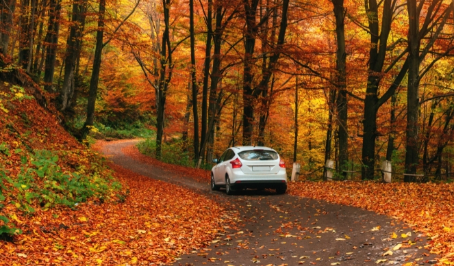 ScreenHunter 274 | Off Rhodes Garage